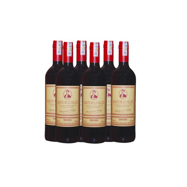Carton de 6 bouteilles de baron de la vallée tinto vin de table rouge ...