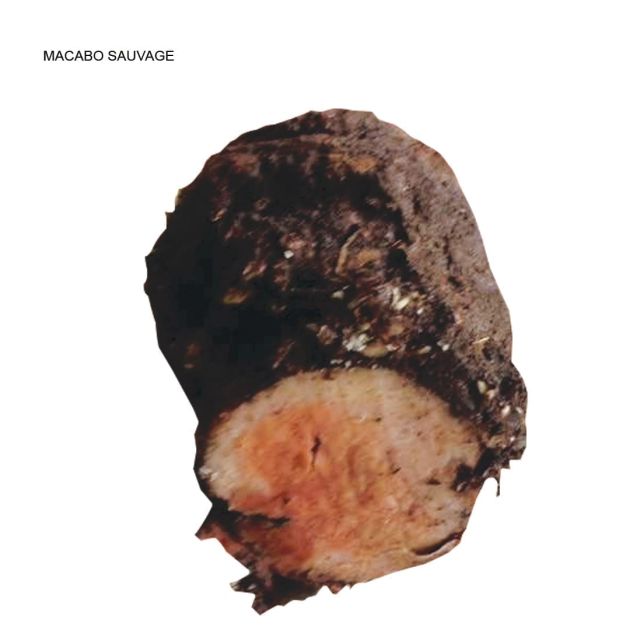 Ecorce Macabo Sauvage- traitement des douleurs abdominales - 250g ...