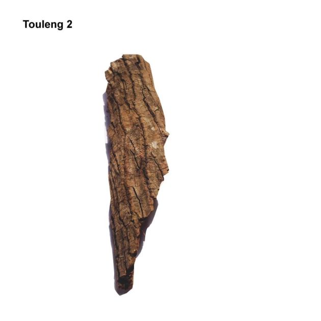 Ecorce Touleng (2) - Traitement des vers et des poisons - 250g ...